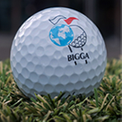 The British and International Golf Greenkeepers' Association | BIGGA ...
