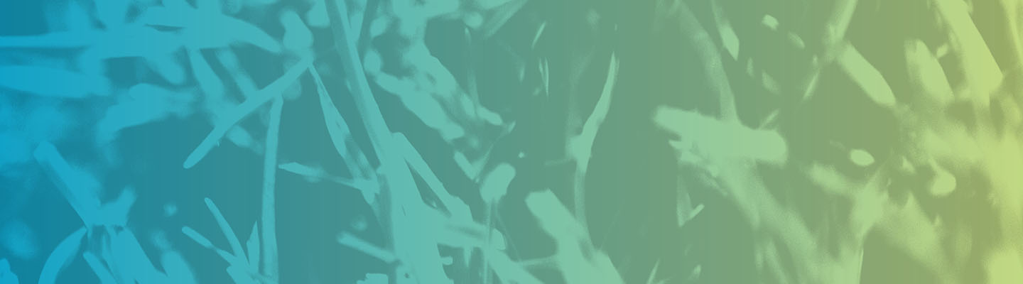 First Green: Inspiring the next generation of greenkeepers | BIGGA