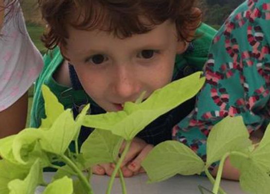 The British and International Golf Greenkeepers' Association | BIGGA ...