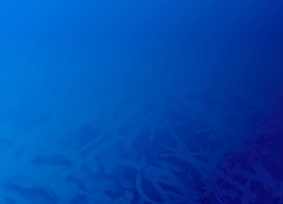 The British and International Golf Greenkeepers' Association | BIGGA ...